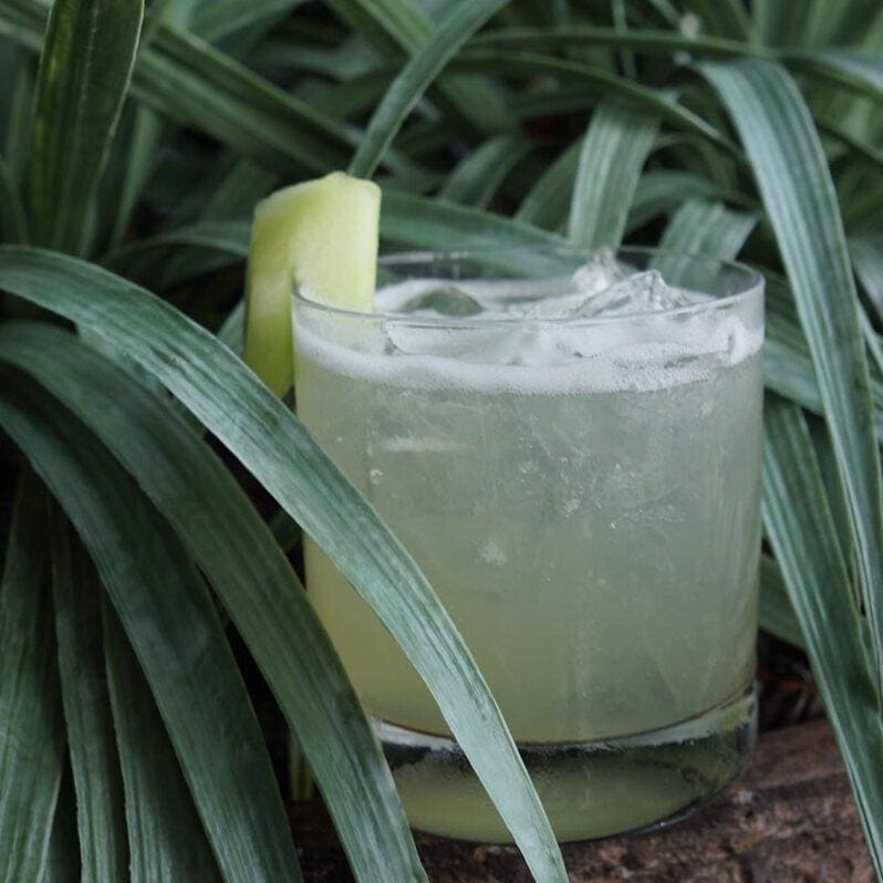 The People Pleaser – edible MAINE